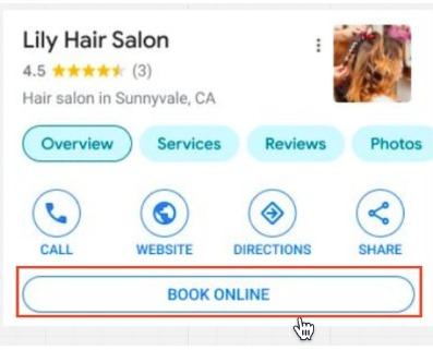 How to Set Up Google Organic Booking For Your Calendar – Captivation Hub