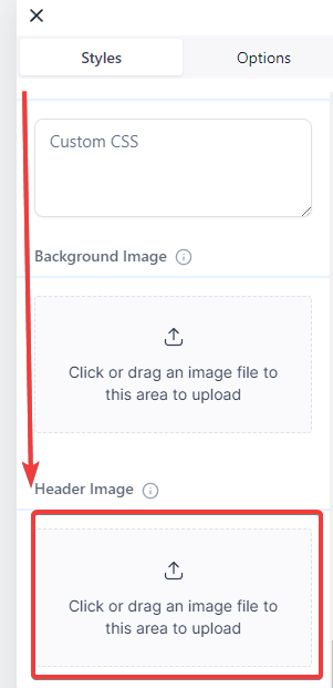 Images in Forms – Captivation Hub